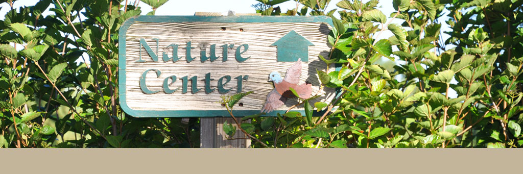 Charlotte's Quest Nature Center - Manchester, MarylandManchester, Maryland